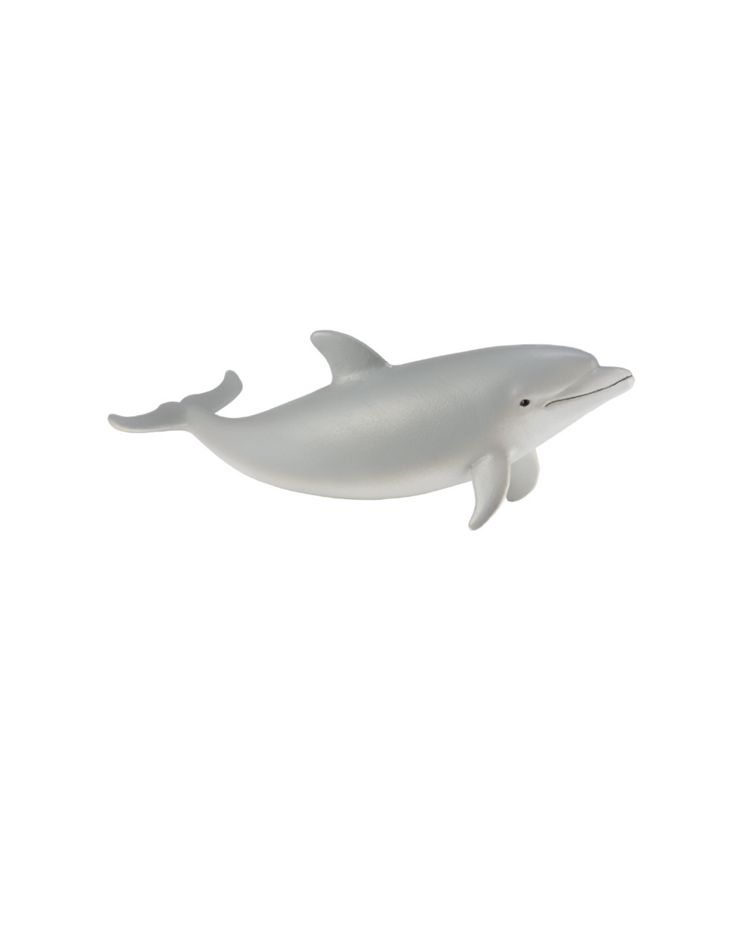 CollectA Bottlenose Dolphin Calf Small – Kidstuff