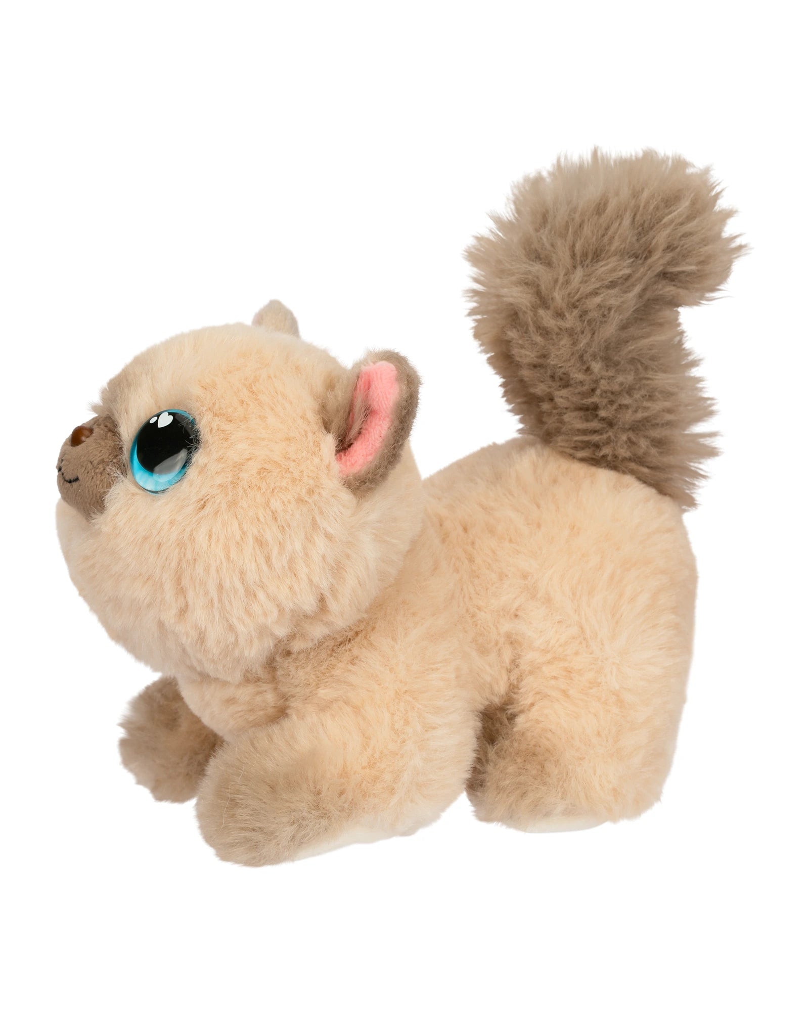 Little Live Pets My Kittys Home Mini – Kidstuff