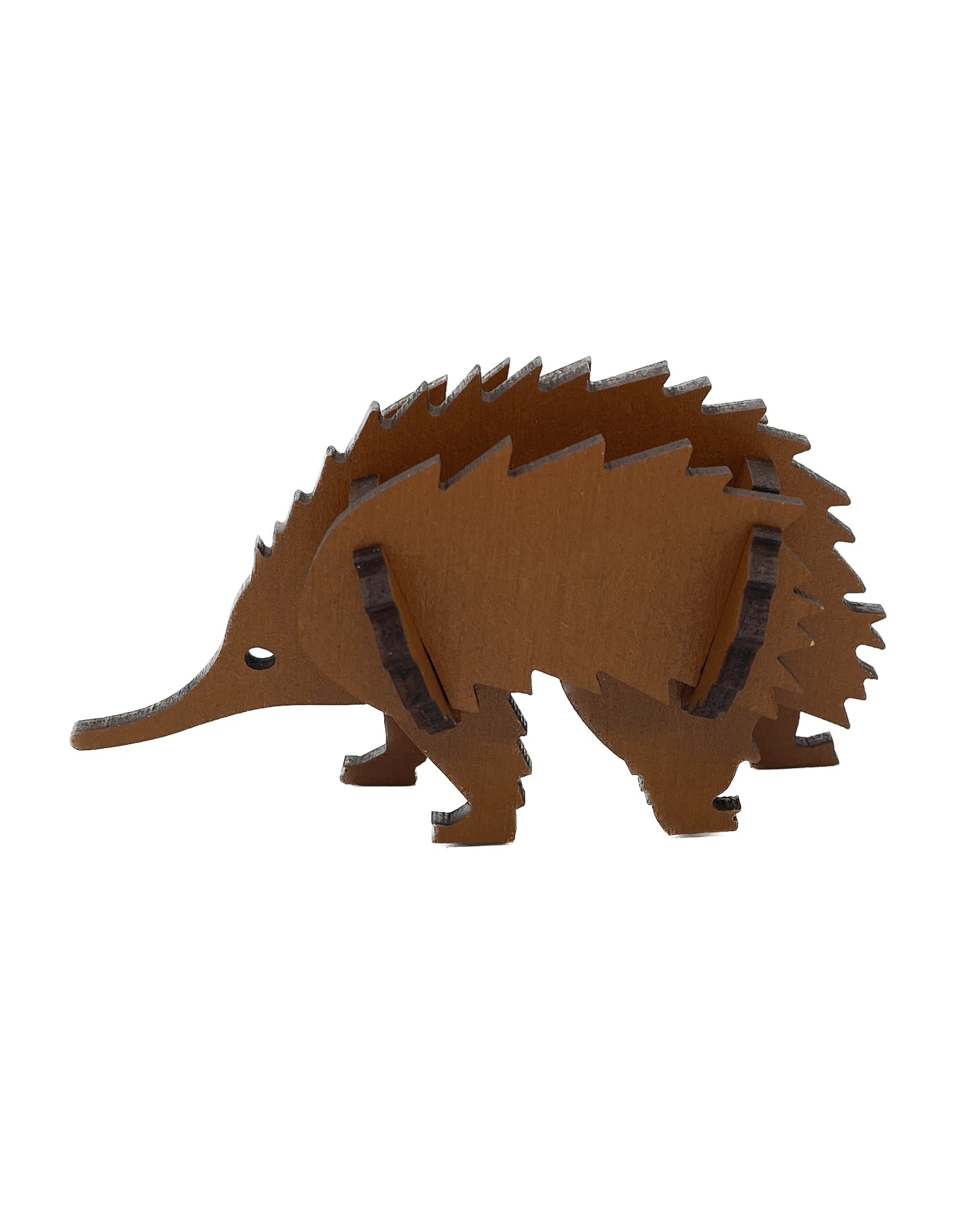 Echidna A6 – Kidstuff