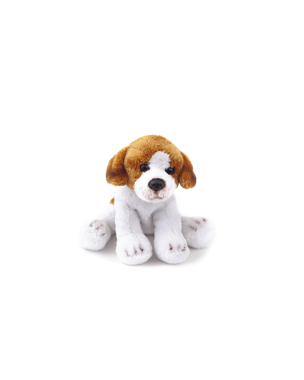 Benny Junior Beagle Small – Kidstuff